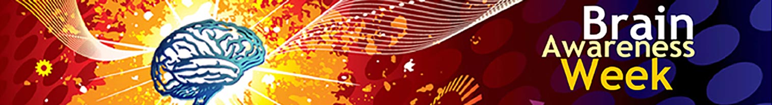 Brain Awareness Events | Moravian College